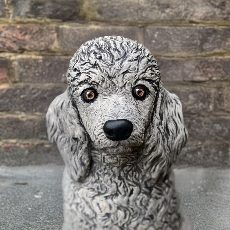 Sitting Poodle Dog Statue Concrete Fluffy Sculpture Garden and Home ...