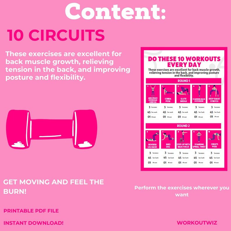 Lower Back Stretch Challenge | Digital Workout Guide | Workout Planner ...