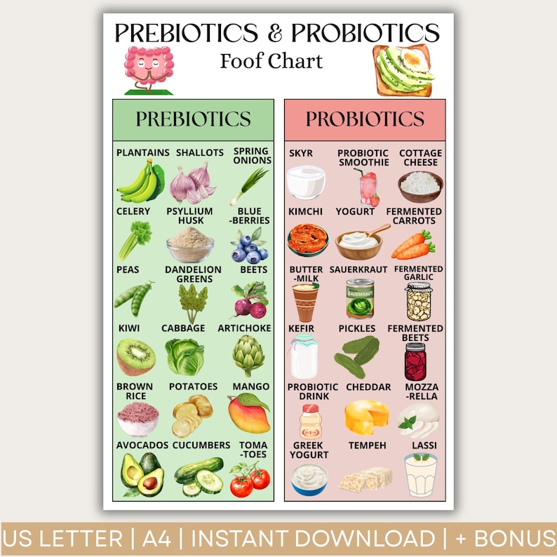 Prebiotic and Probiotic Food Chart, Prebiotic Grocery List, Gut ...