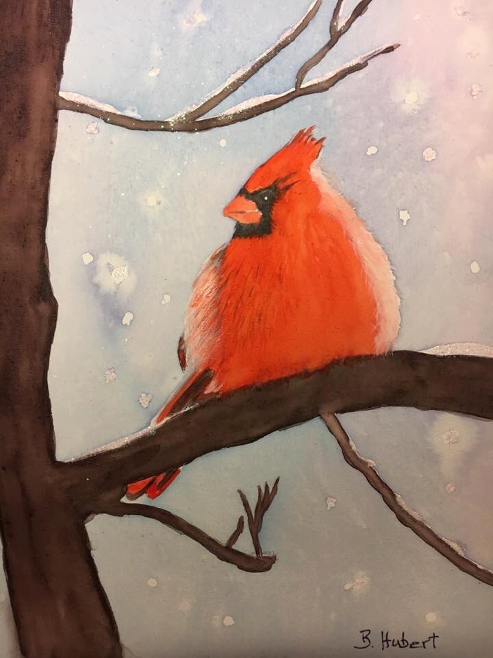 Winter Fluff Male Cardinal an original 8x 10 | Etsy