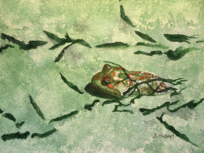 Summer Pond Frog, an Original Watercolor Painting, 9 X 12 of a Frog ...