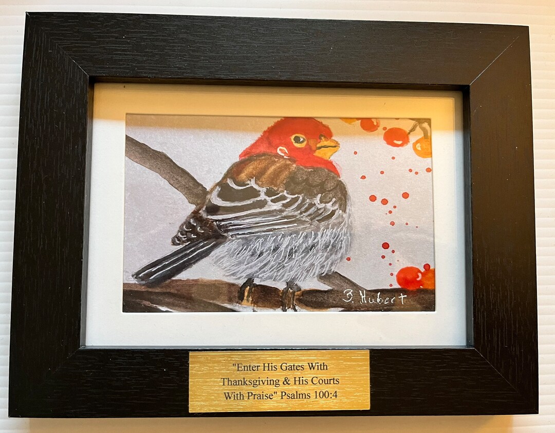 Colorful House Wren With Scripture Plaque Framed Print, Framed House ...