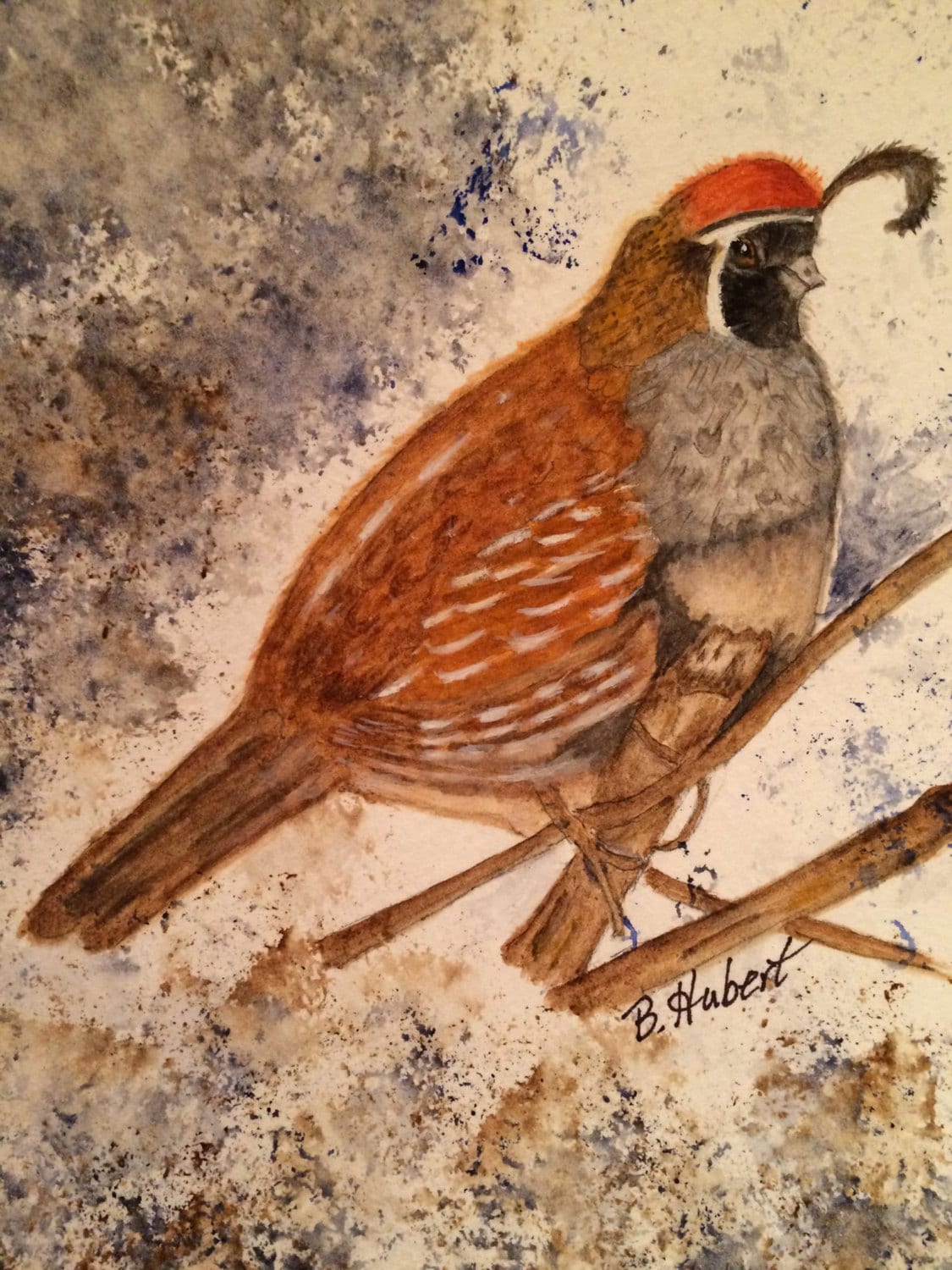 Gambel's Quail, Original Watercolor Painting 9x 12, Colorful Watercolor ...