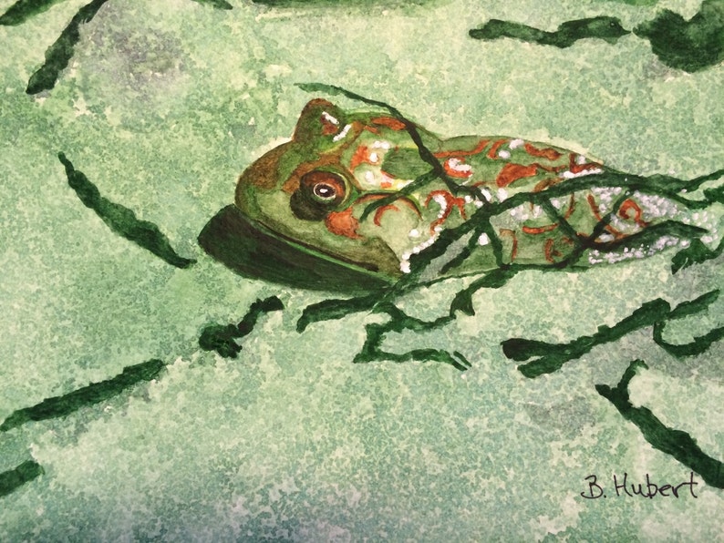 Summer Pond Frog, an Original Watercolor Painting, 9 X 12 of a Frog ...