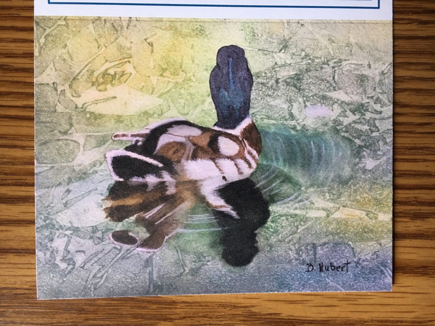 Set of Five 4 X 6 Digital Blank Note Cards - Etsy