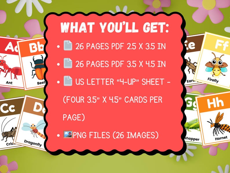 Insect Alphabet Flashcards: Printable Bug Learning Cards (PDF + PNG ...