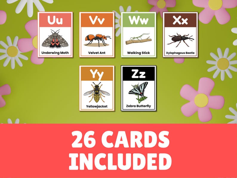 Insect Alphabet Flashcards: Printable Bug Learning Cards (PDF + PNG ...