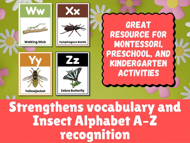 Insect Alphabet Flashcards: Printable Bug Learning Cards (PDF + PNG ...