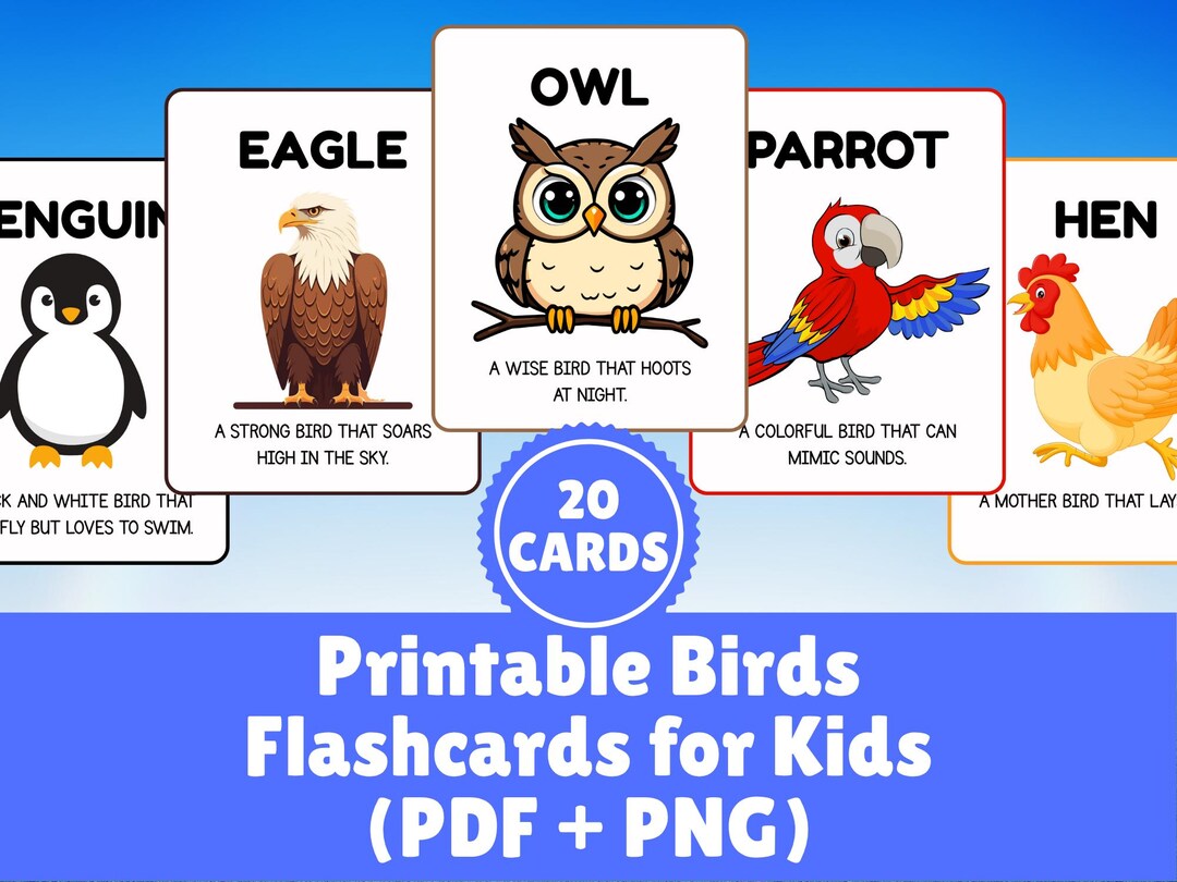 Printable Birds Flashcards: 20 Learning Cards for Kids – Instant PDF ...