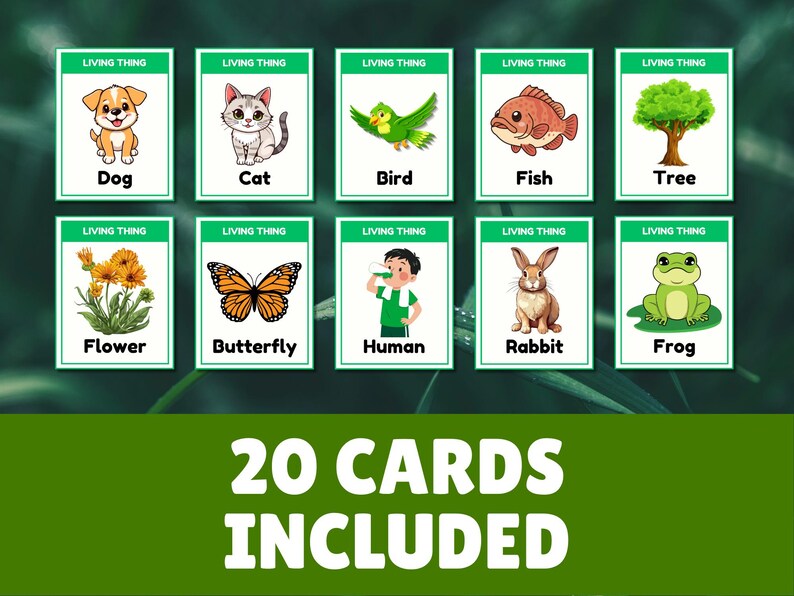 Printable Living and Non-living Flashcards: Learning Cards for Kids ...