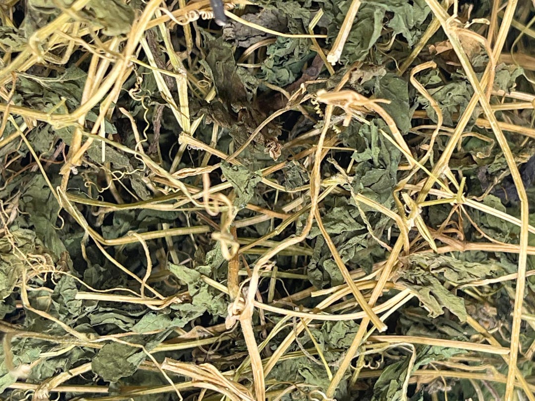 Jamaican Cerasee Leaves and Vines, Wild-crafted Dried Cerasee Herb Tea ...