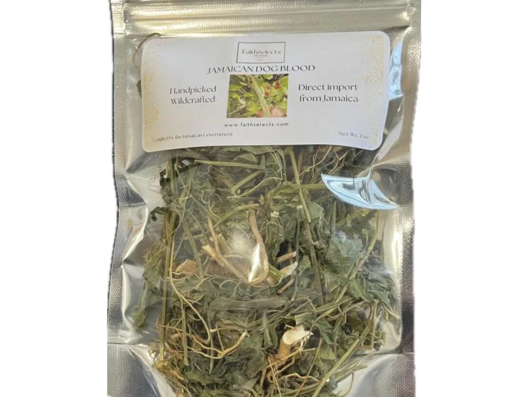 Jamaican Dog Blood Bush Herb (whole Herbs), Wildcrafted,(fertility Bush ...