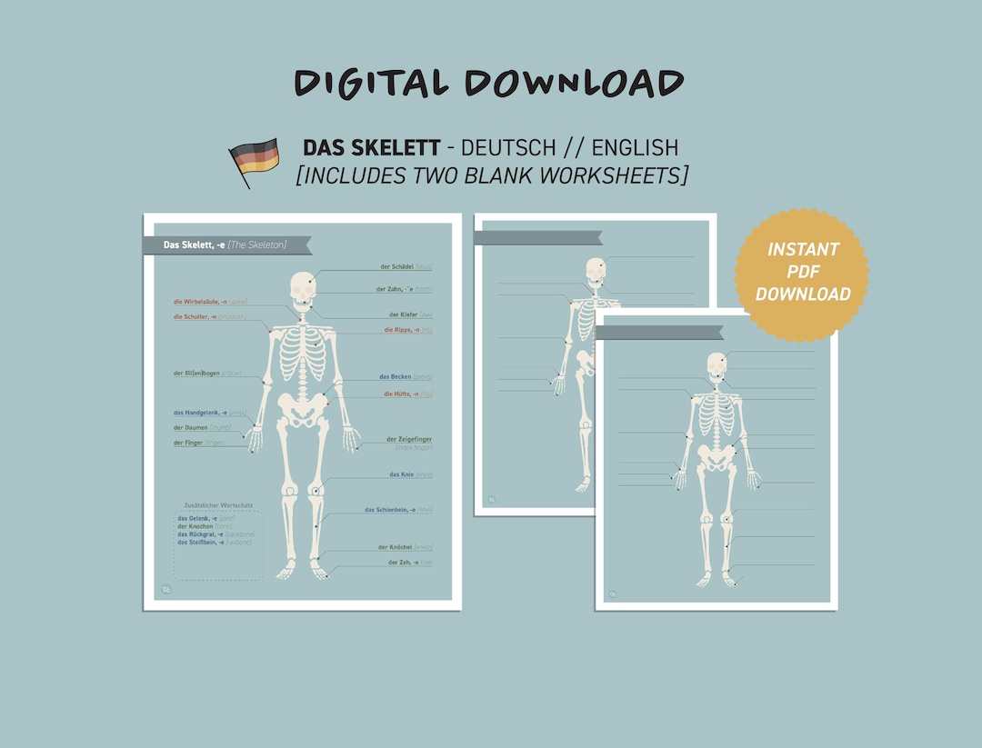 DAS SKELETT DIGITAL - German Language Study Guide - Educational ...