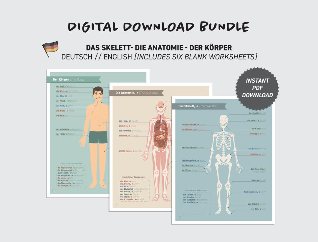 DIGITAL BUNDLE - Das Skelett - Die Anatomie - Der Körper - German ...