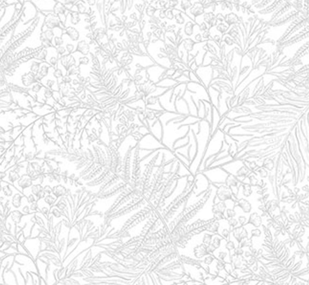 Natures Sketchbook Ferns-deborah Edwards-northcott 28526-100-white on ...