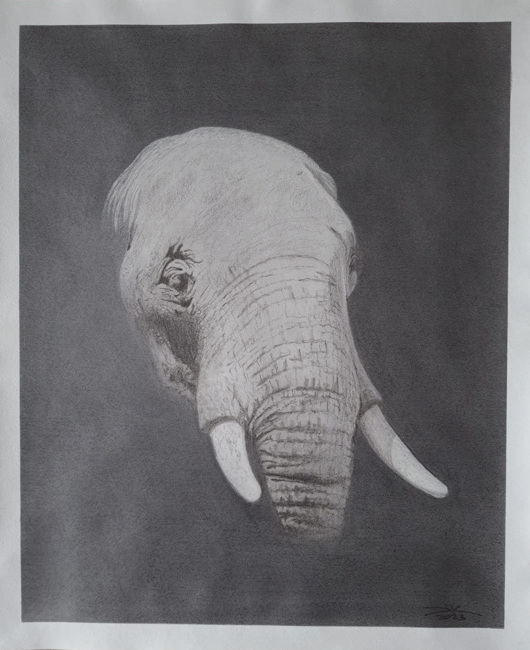 Elephant Graphite Drawing. - Etsy