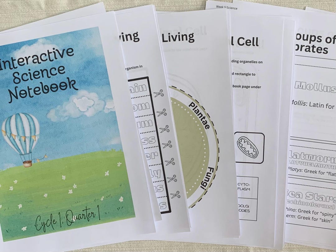 Cycle 1 Interactive Notebook - Etsy