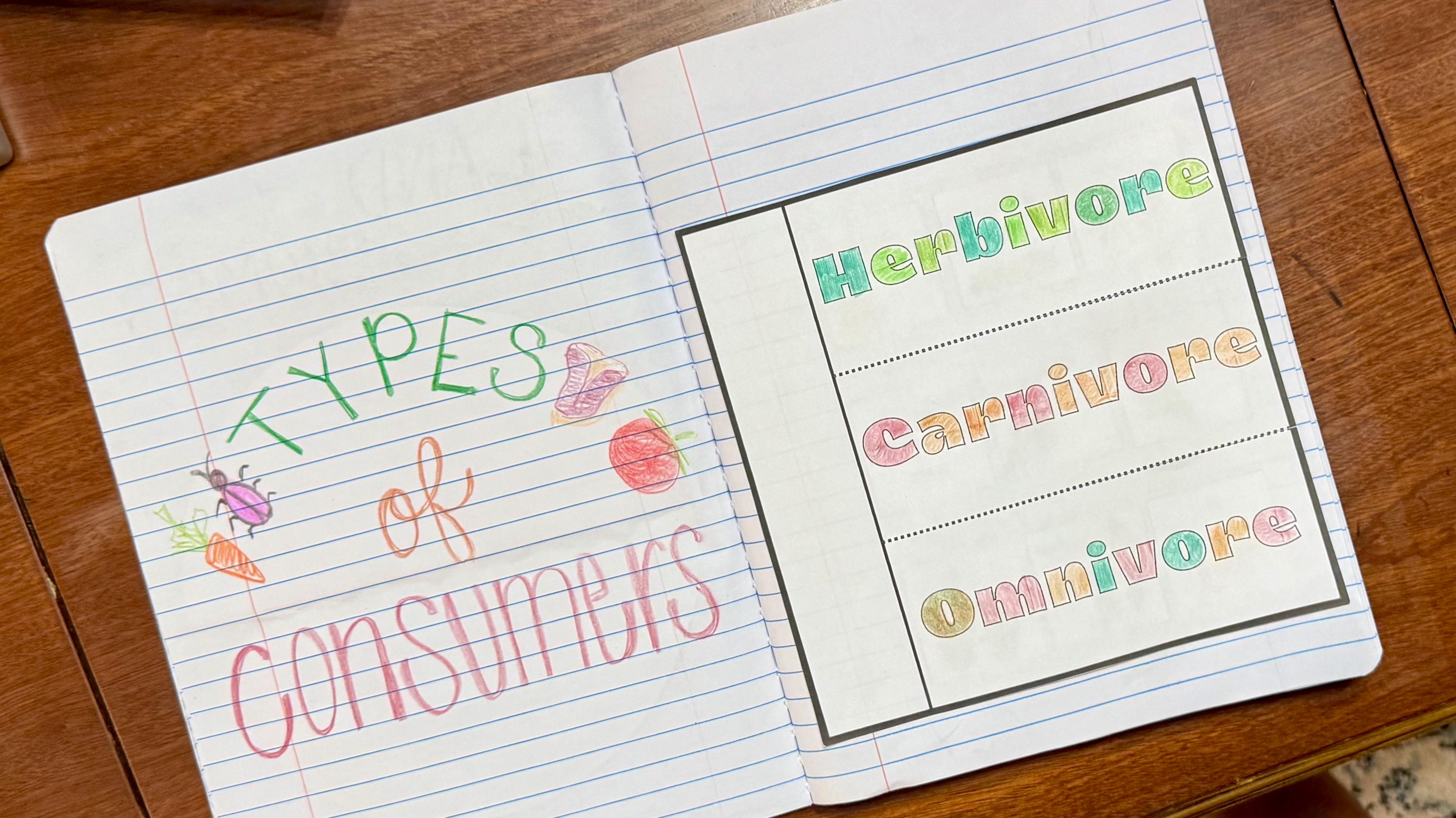 Cycle 2 - Interactive Science Notebook - Classical Conversations ...