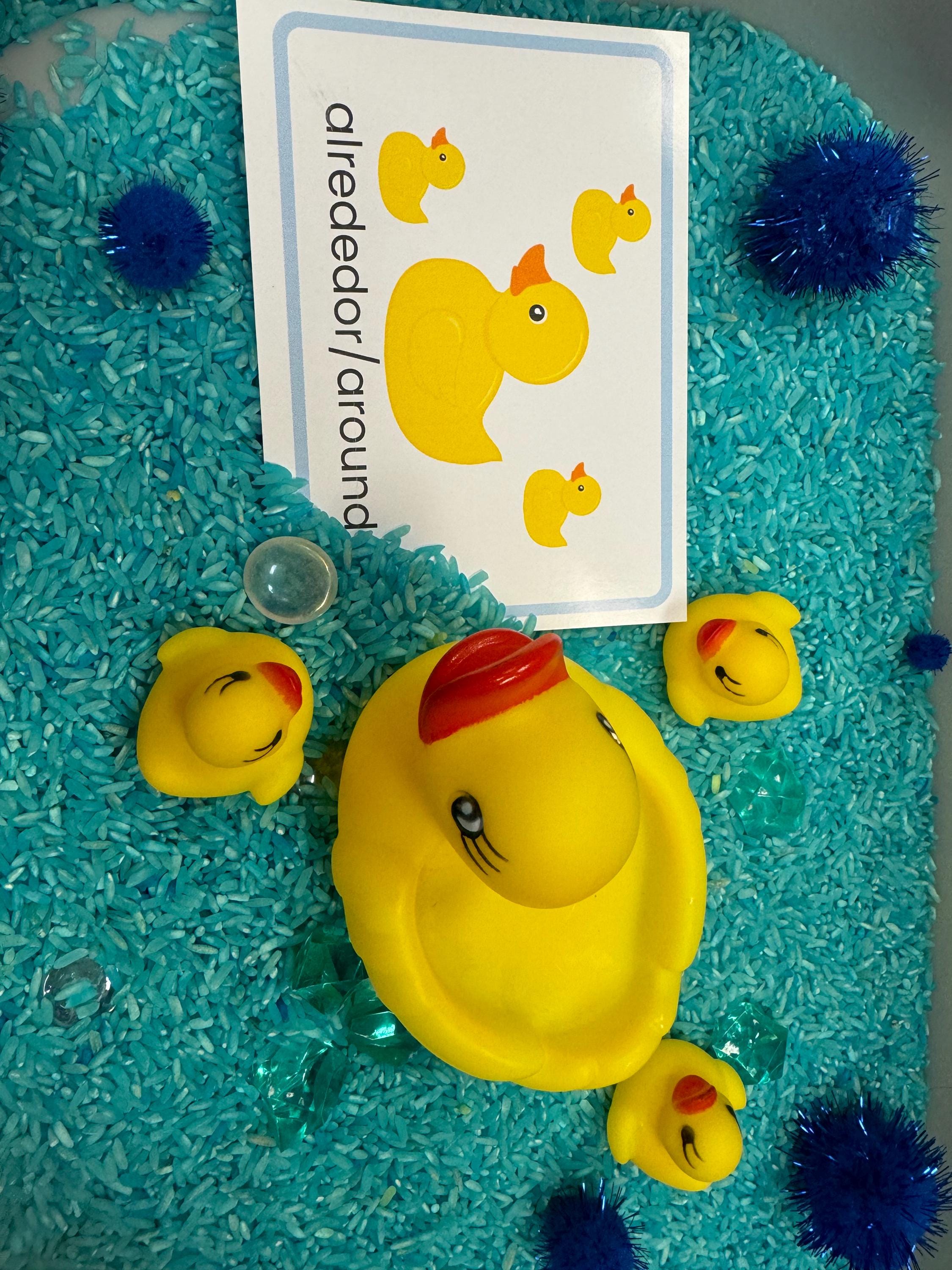 Duck Sensory Bin | Bilingual Spanish-english Flashcards | Toddler ...
