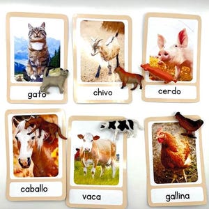 Farm Animals Sensory Bin Spanish Learning - Etsy