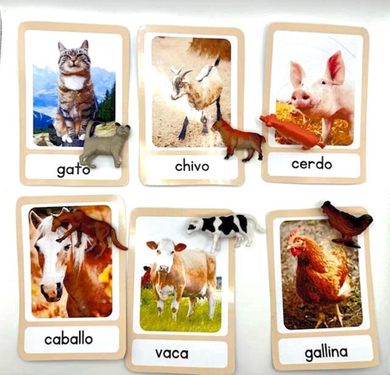 Farm Animals Sensory Bin Spanish Learning - Etsy