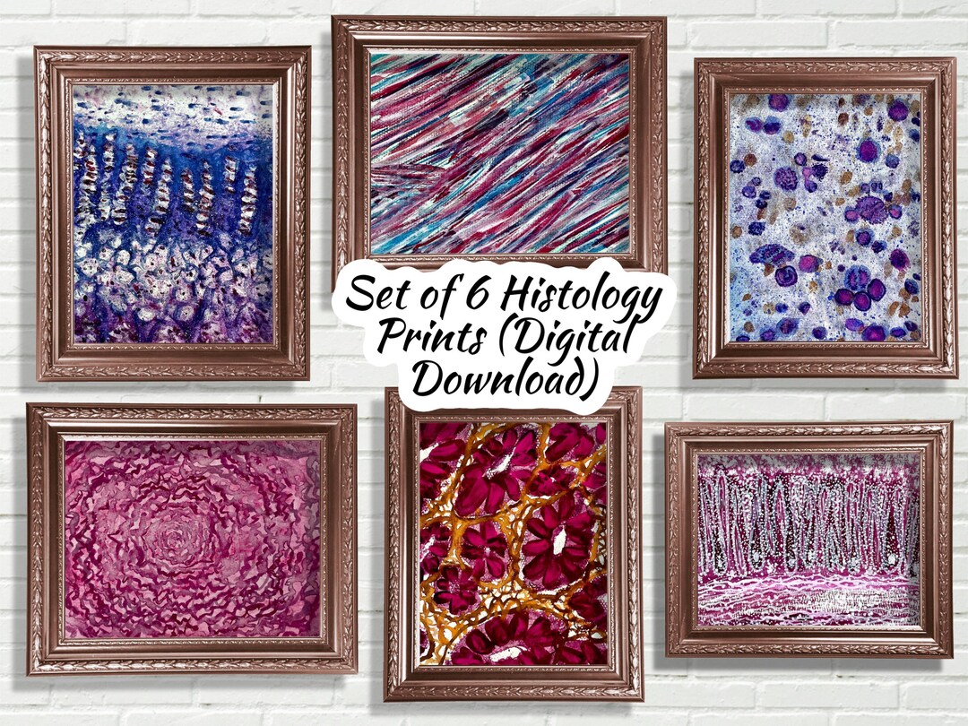 DIGITAL DOWNLOAD 6 Set Histology Watercolor Art Science Med Wall Decore ...