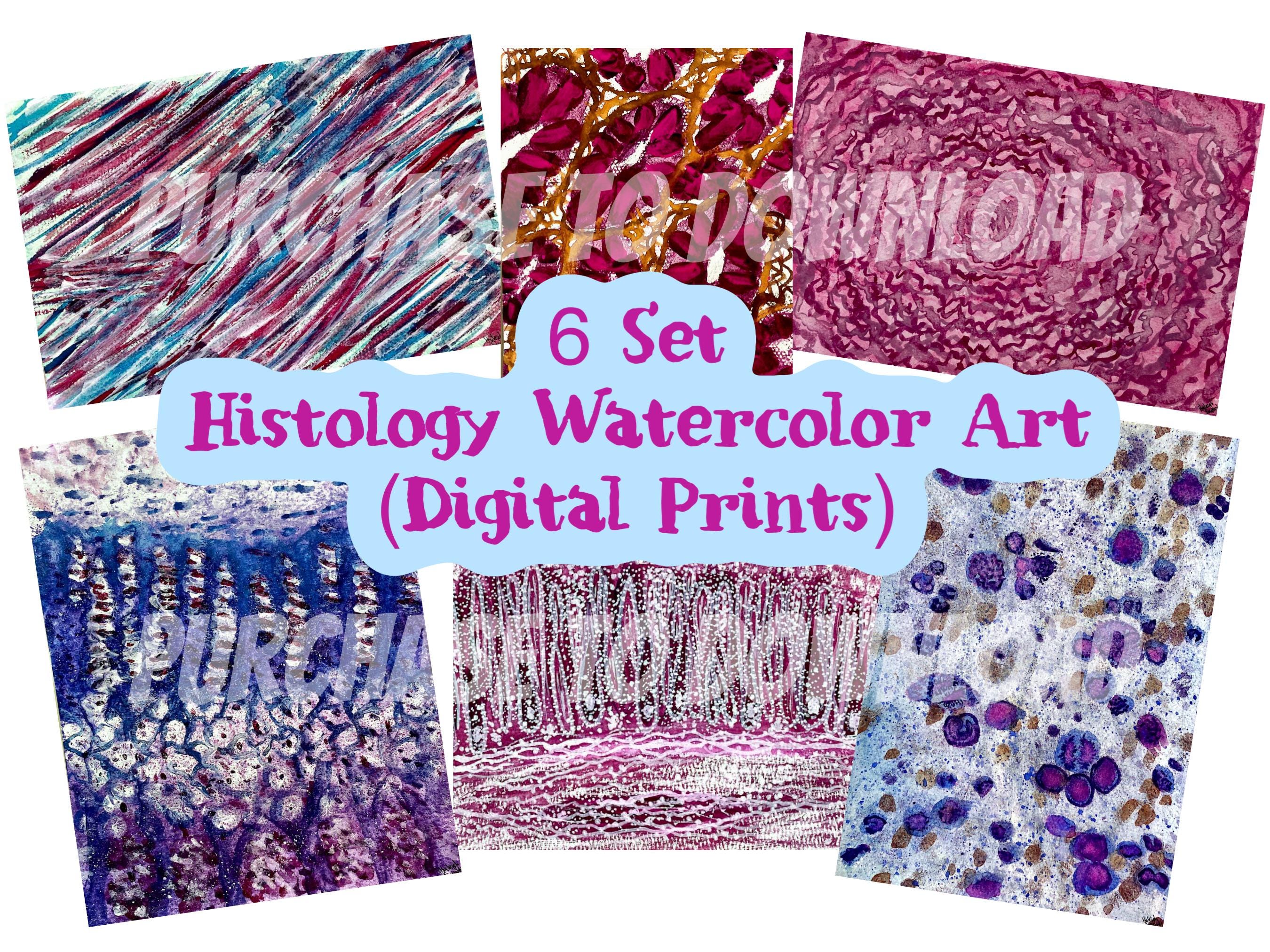 DIGITAL DOWNLOAD 6 Set Histology Watercolor Art Science Med Wall Decore ...