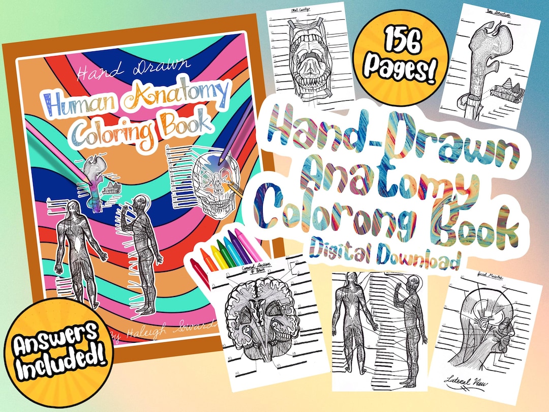 DIGITAL DOWNLOAD A&P Hand-drawn Coloring Book PDF Educational for Med ...