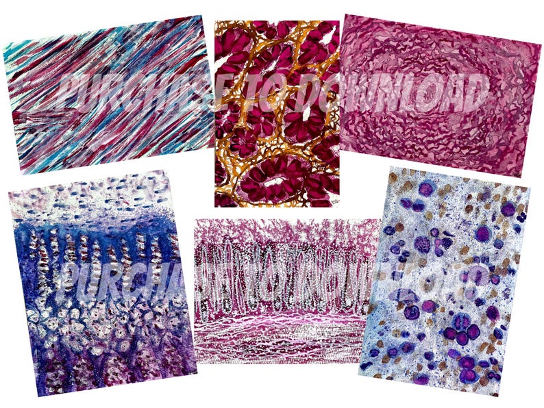 DIGITAL DOWNLOAD 6 Set Histology Watercolor Art Science Med Wall Decore ...