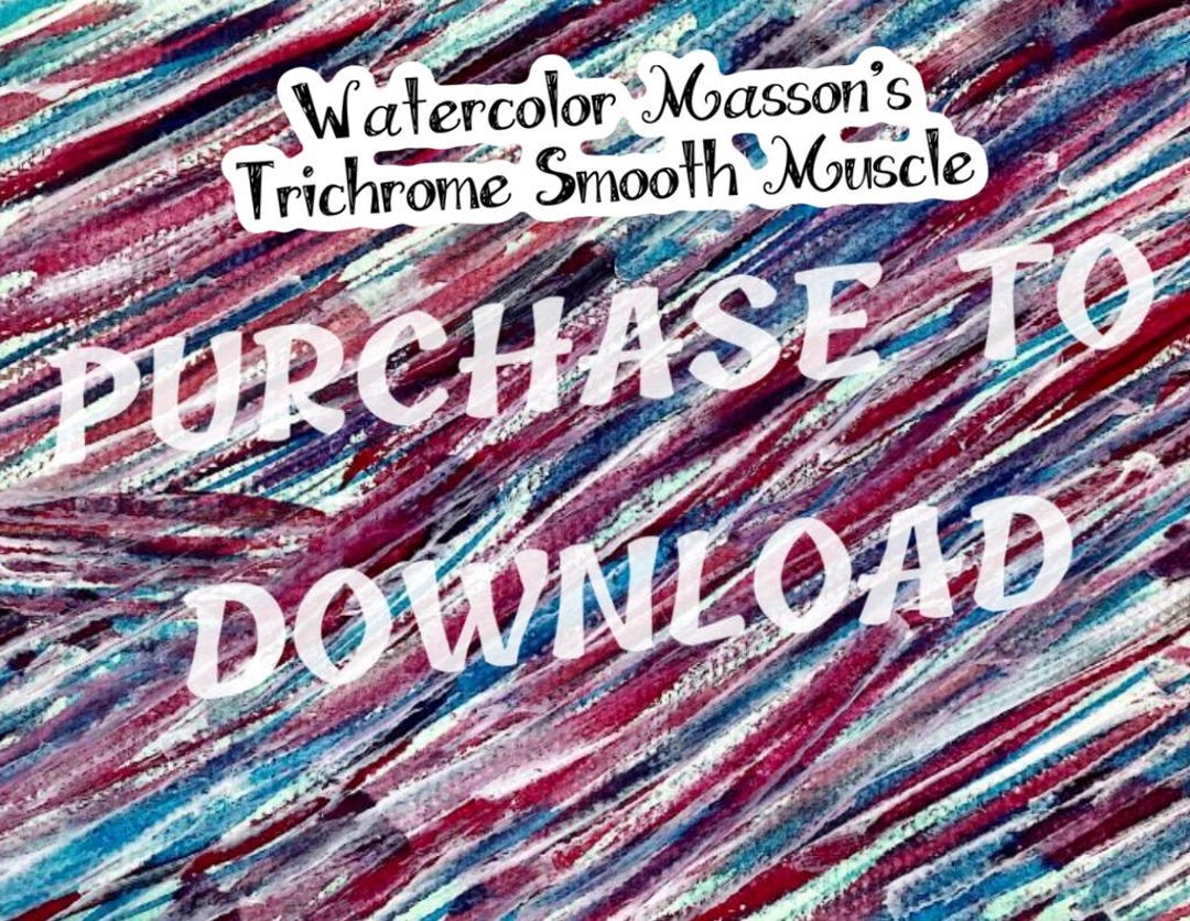 DIGITAL DOWNLOAD Masson's Trichrome Smooth Muscle Histology Watercolor ...