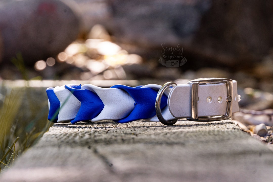 Braided Two Tone Biothane Dog Collar - Etsy