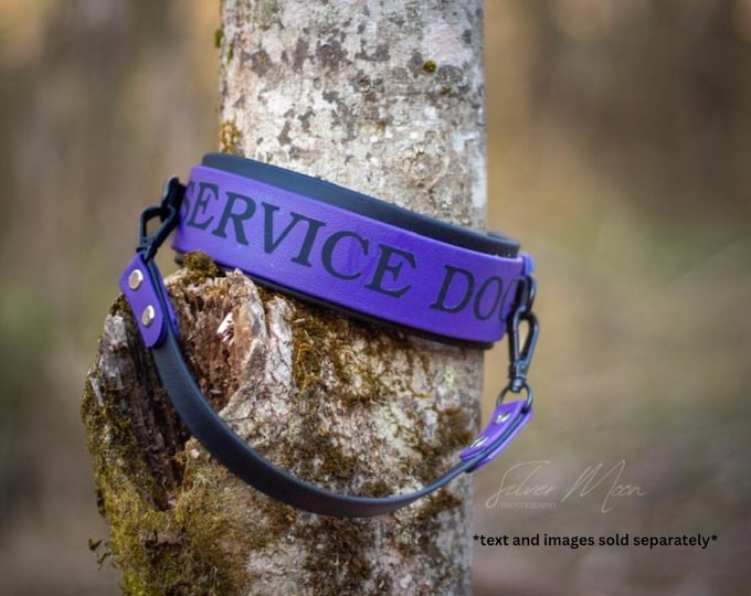 2” Layered Collar With Removable Handle - Etsy