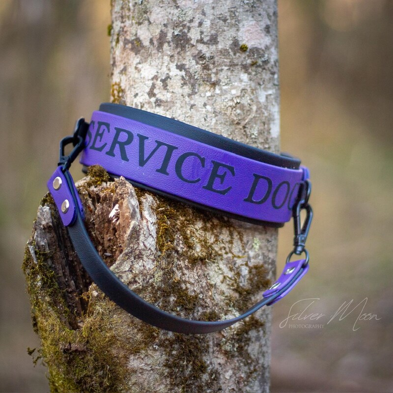 Working Dog Gear - Etsy