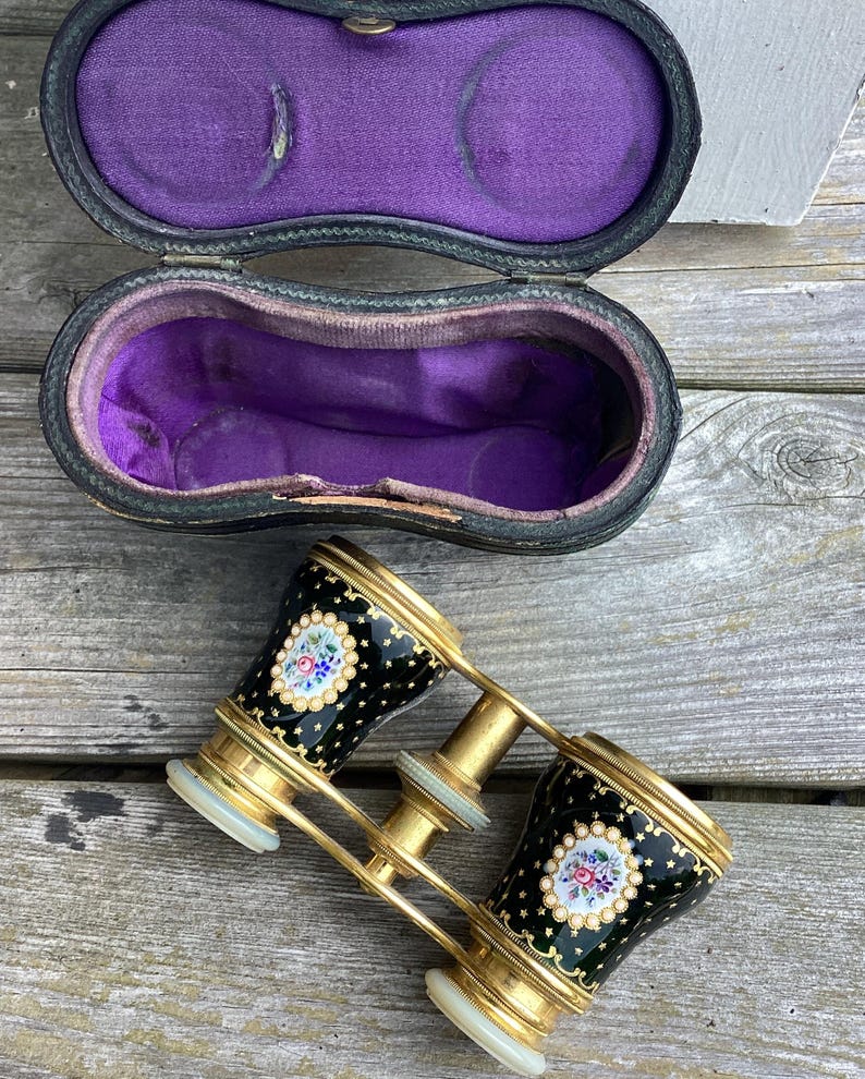 Antique Vintage French Opera Glasses: Mother of Pearl, Cloisonné Enamel ...