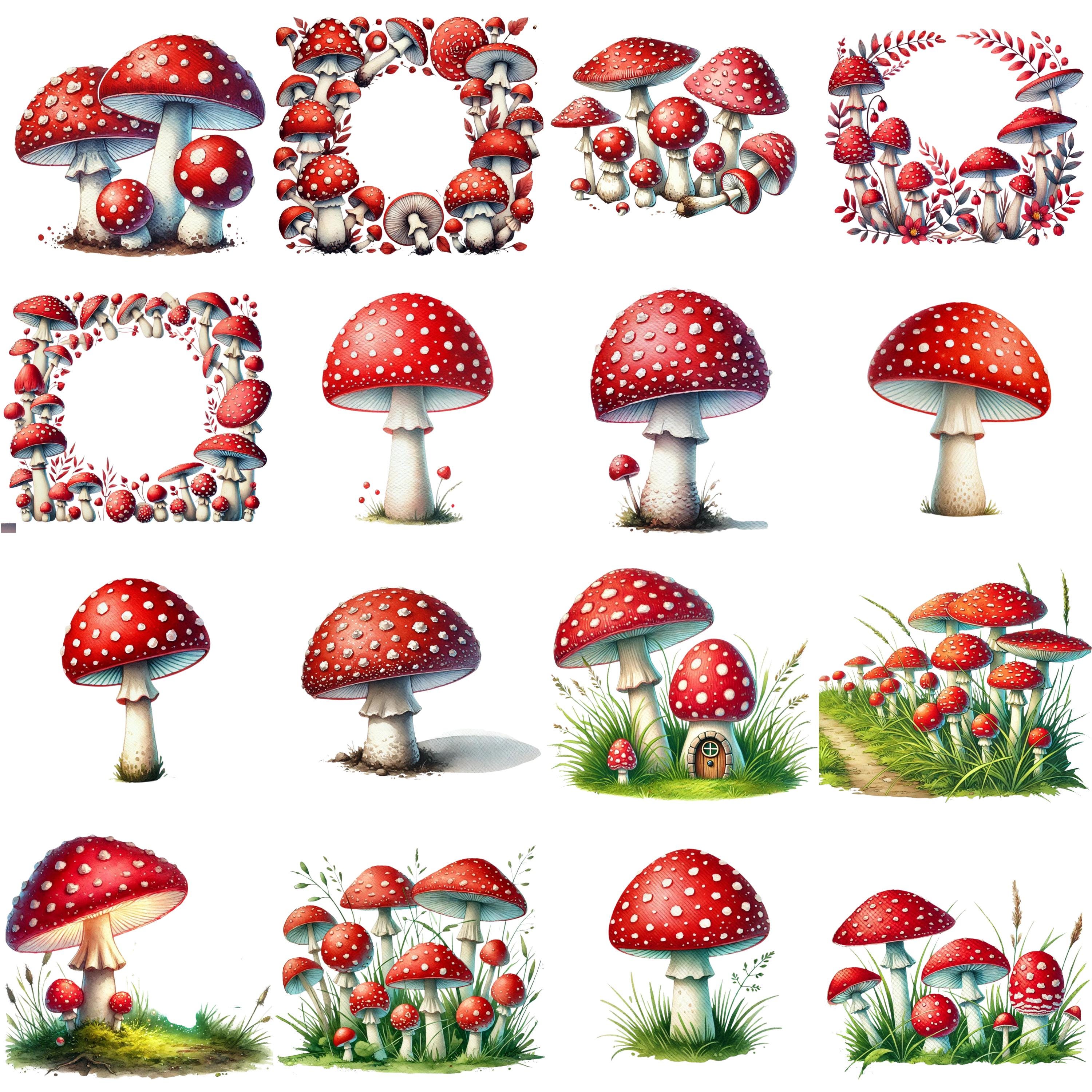 Red Mushroom Watercolor Clipart Bundle, Fairy Tale PNG (digital ...