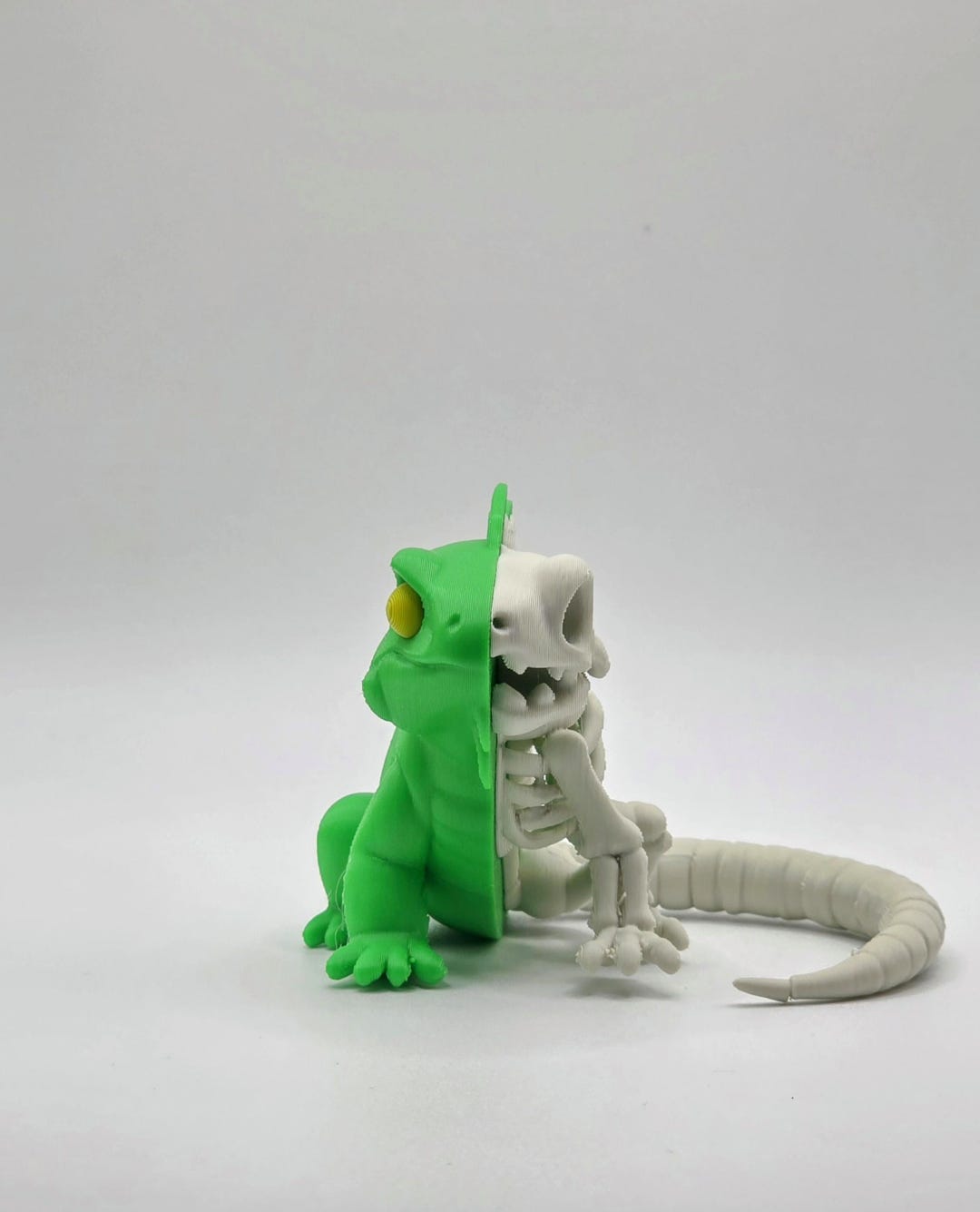 Half-anatomy Iguana Figure – Bold Creature Display - Etsy