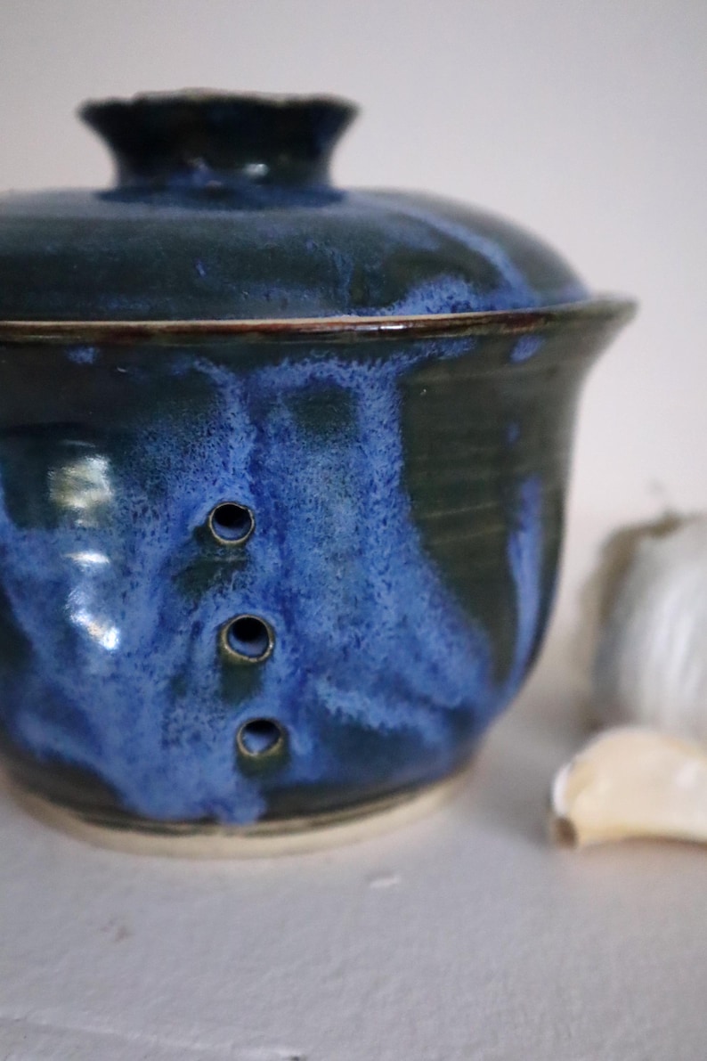 Vintage Abstract Garlic Storage Container Artistic Colours Blue-green ...