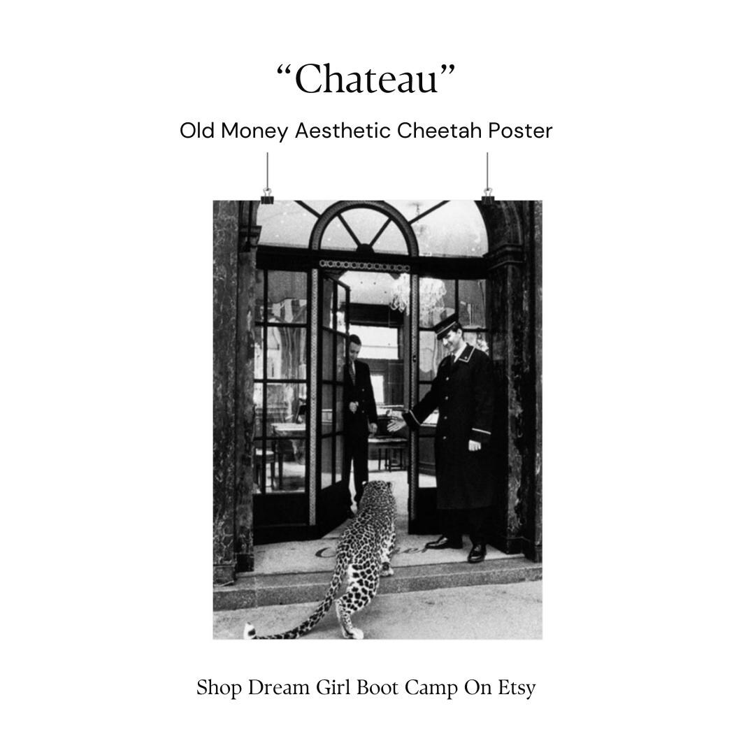Old Money Aesthetic Cheetah Print "chateau" | Luxury Hotel Art Print - Etsy