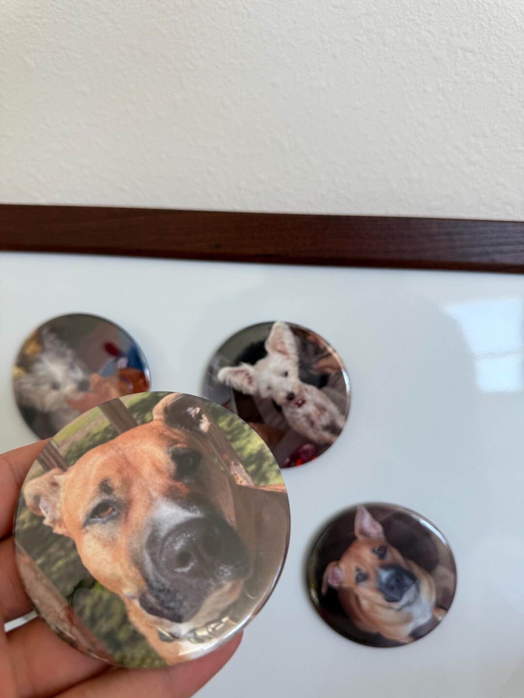 Personalized Round Fridge Photo Magnets | 3 Inches |transform Pet ...