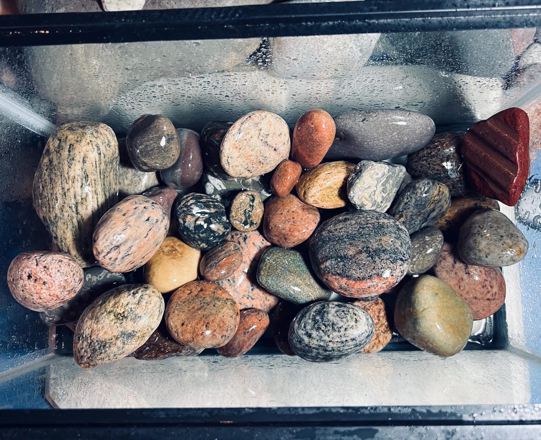Handpicked, Lake Stones/rocks From Lake Ontario Aquarium Decor Garden ...
