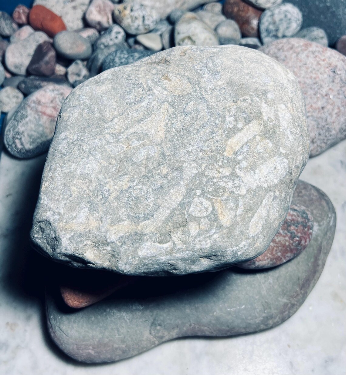 Handpicked, Lake Stones/rocks From Lake Ontario Aquarium Decor Garden ...