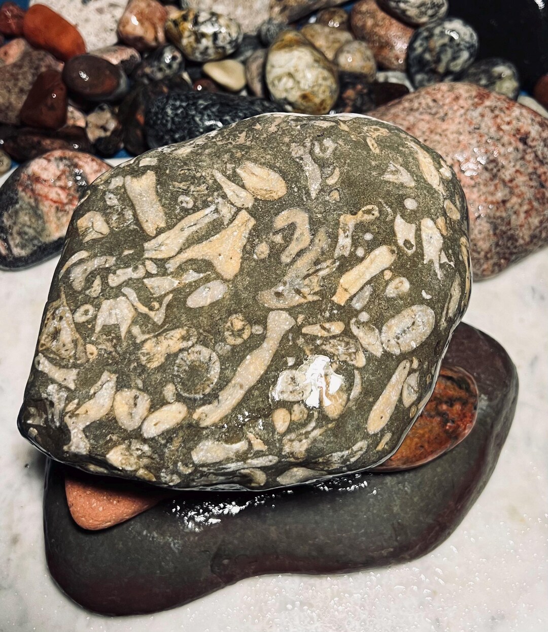 Handpicked, Lake Stones/rocks From Lake Ontario Aquarium Decor Garden ...
