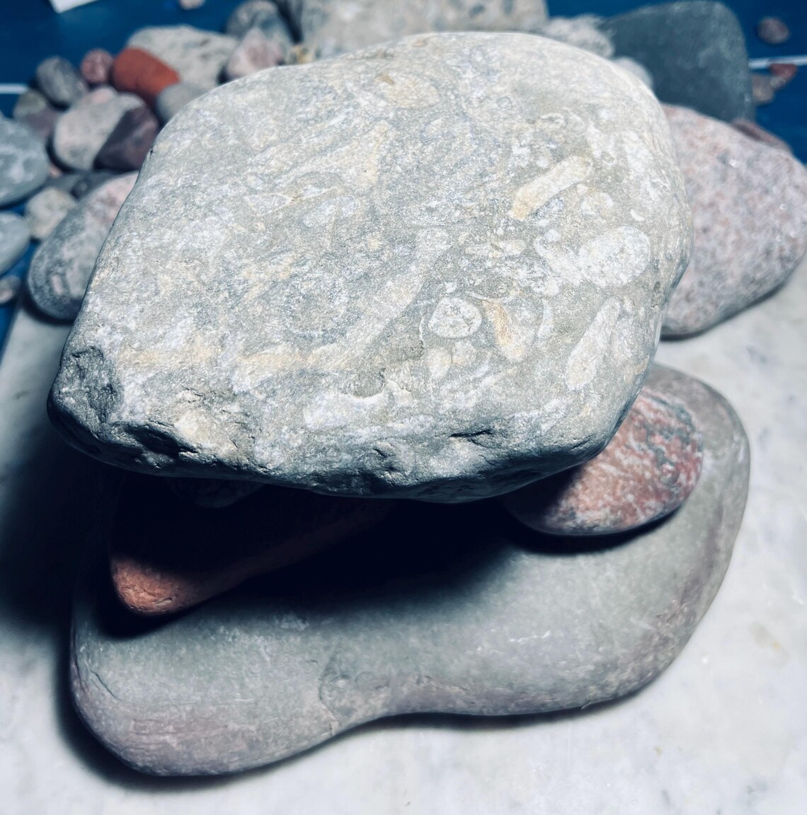 Handpicked, Lake Stones/rocks From Lake Ontario Aquarium Decor Garden ...