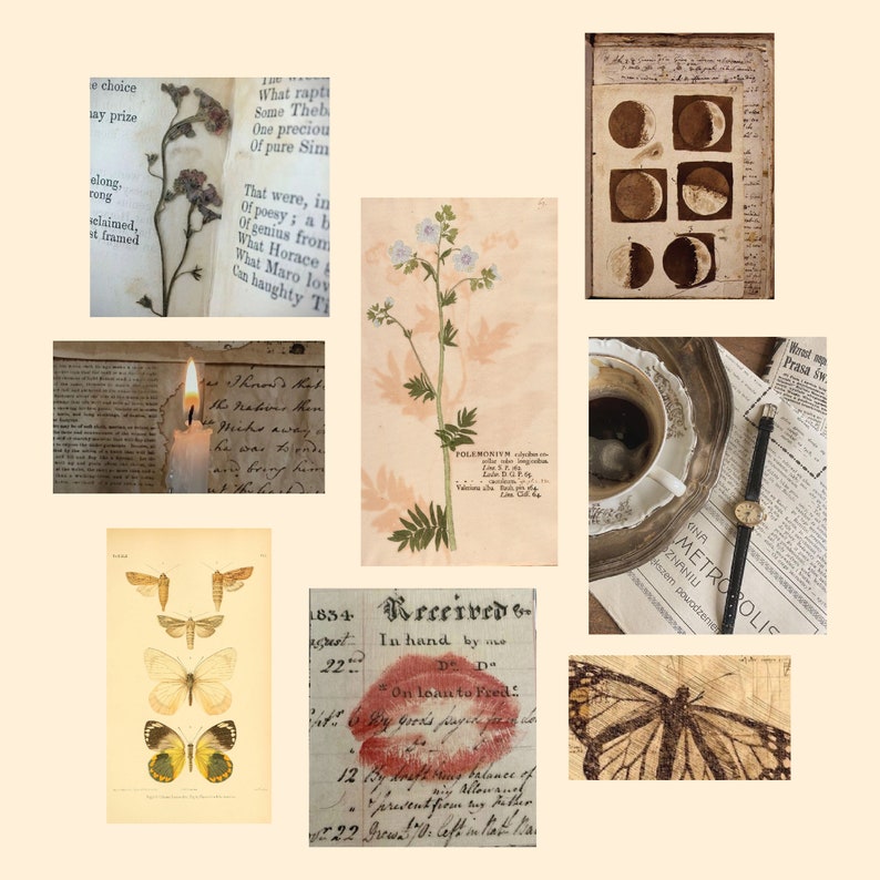 Light Academia Poster Bundle Collage Wall Collage Kit Art Scholar ...