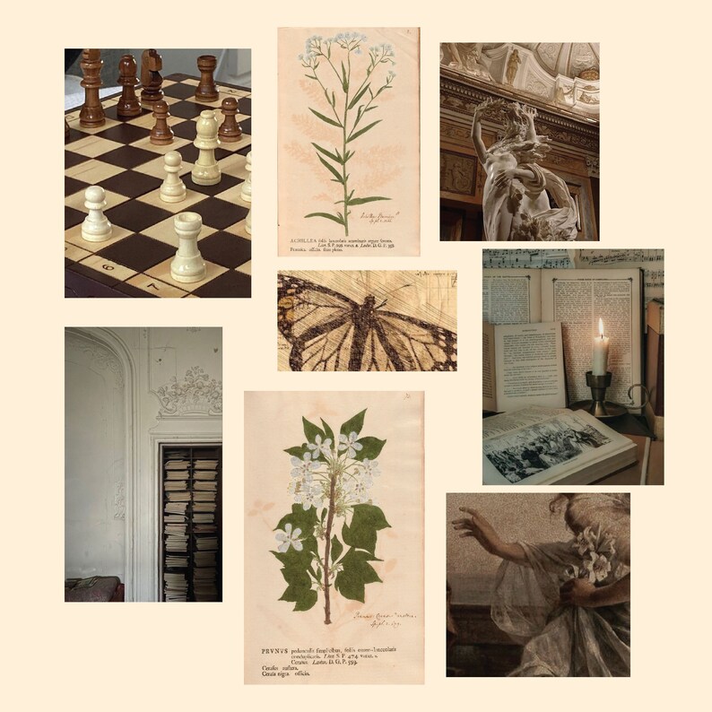 Light Academia Poster Bundle Collage Wall Collage Kit Art Scholar ...