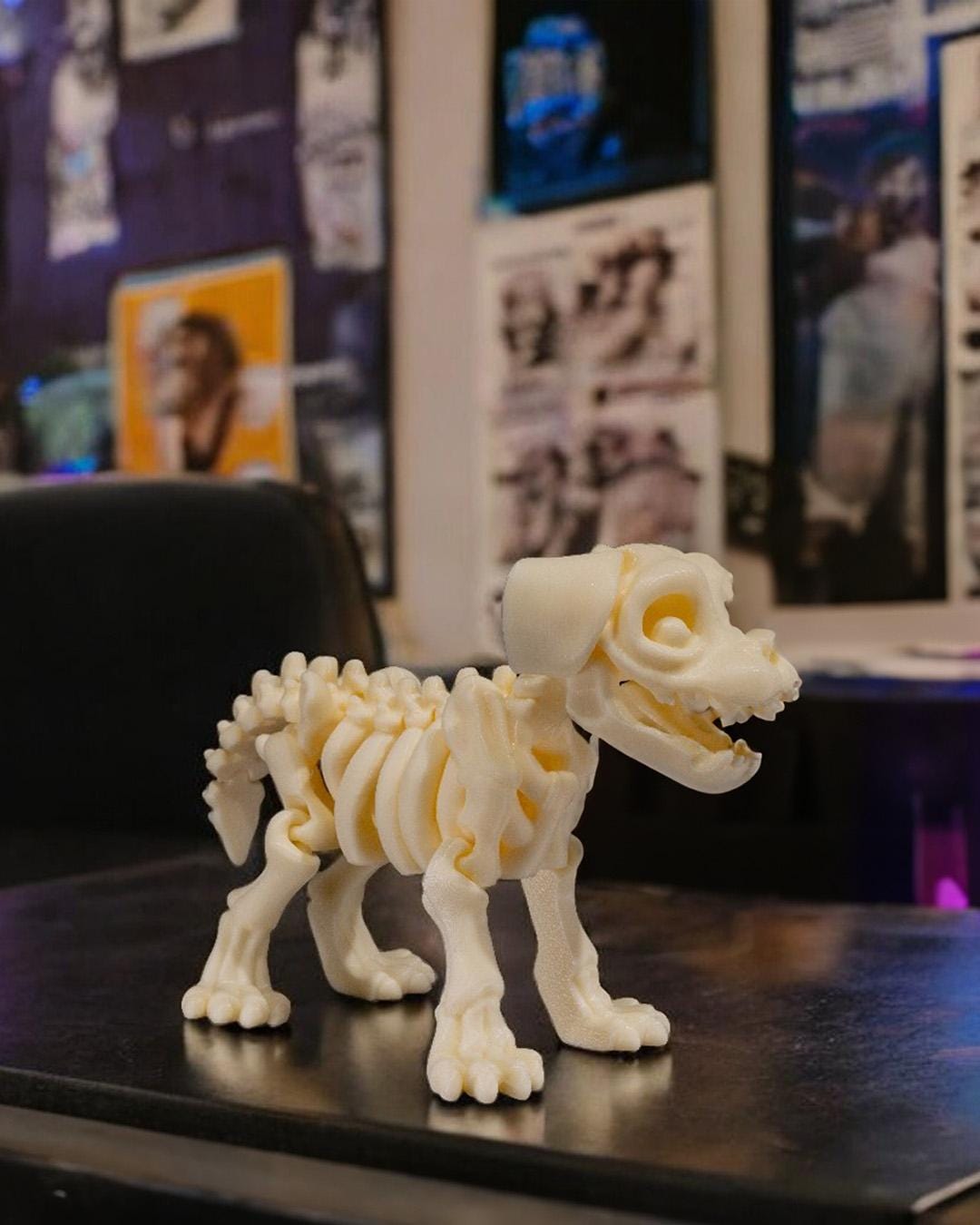 Adorable Articulated Skeleton Dog - Etsy