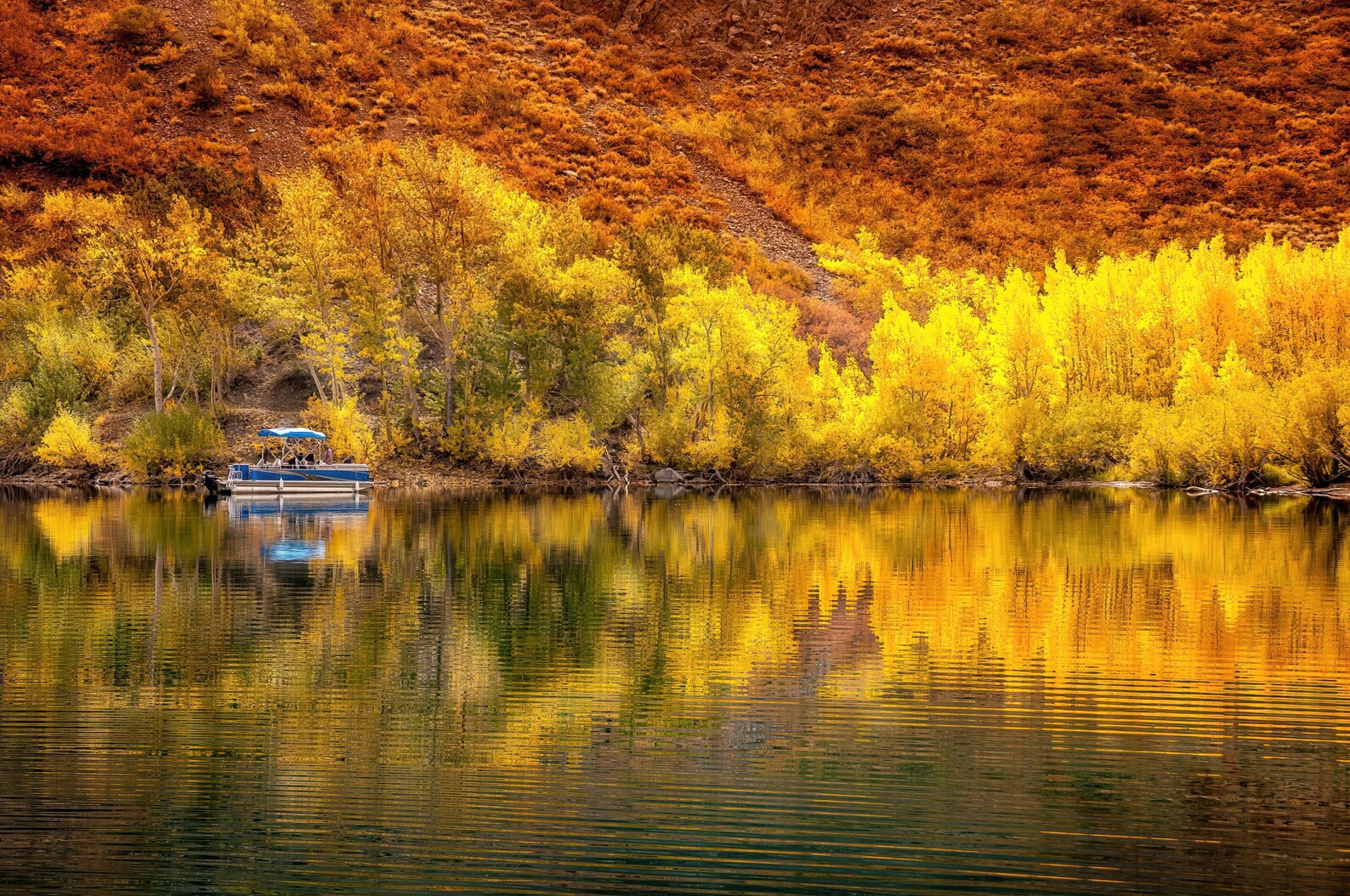 Reflection of Yellow on Convict Lake, California. - Etsy