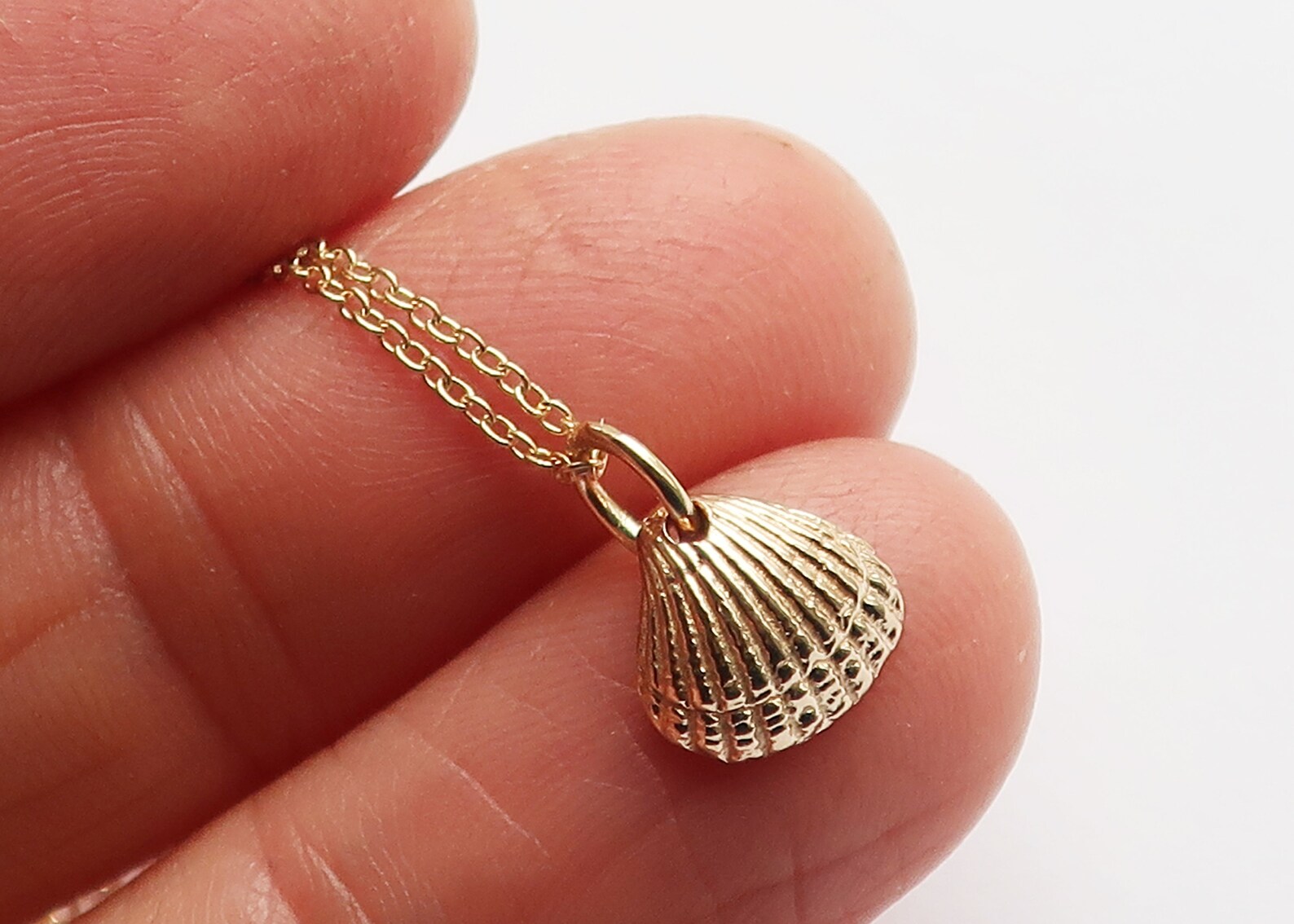 Tiny Solid Gold Block Island Clamshell Necklace | Etsy