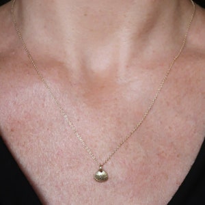 Tiny Solid Gold Block Island Clamshell Charm - Etsy