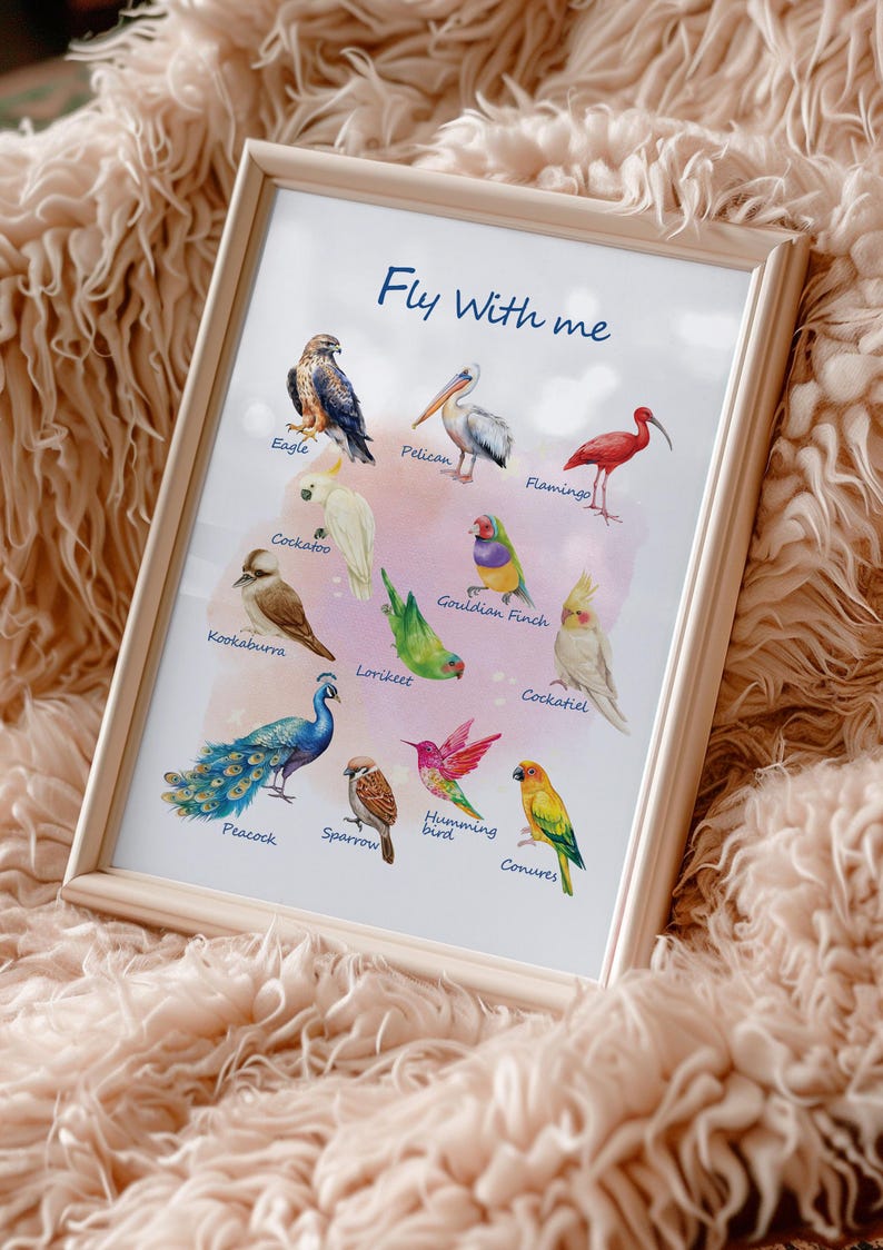 Bird Chart Illustration, Playroom Wall Decor, Kids Wall Decor, Digital ...